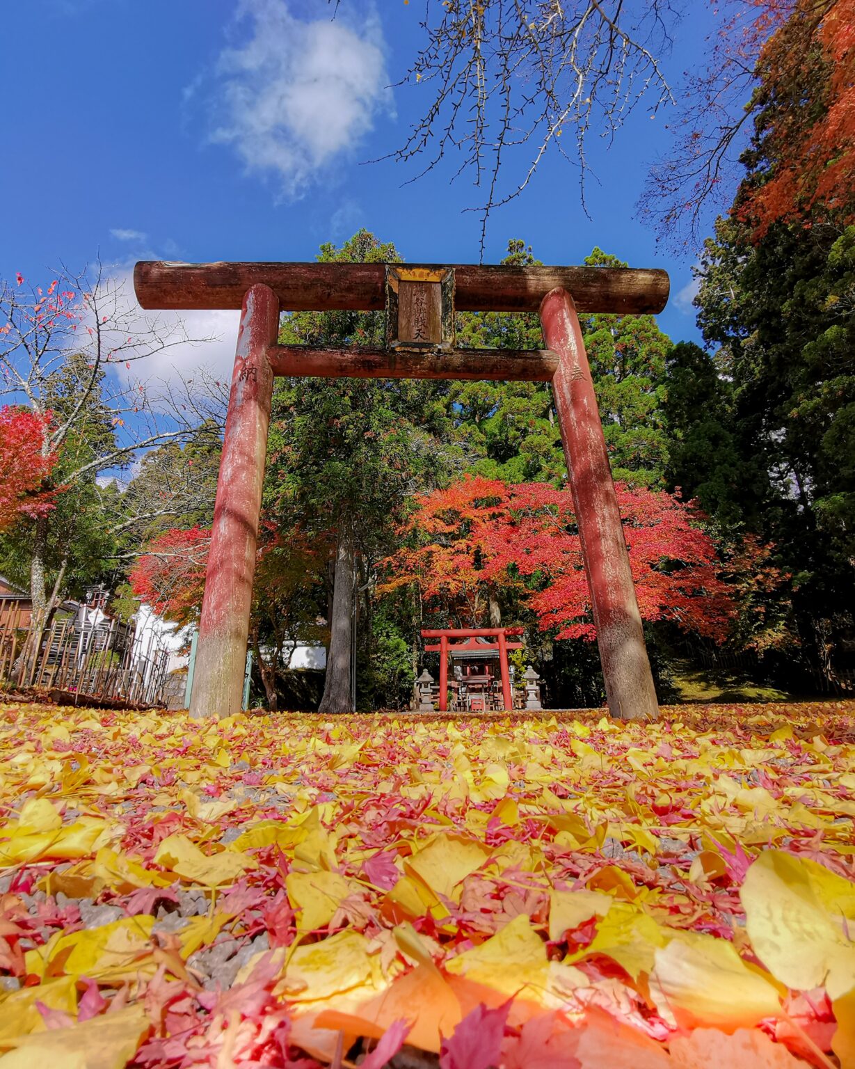 高野山奥の院 身代わりお守りの効果とは？持ち方も解説